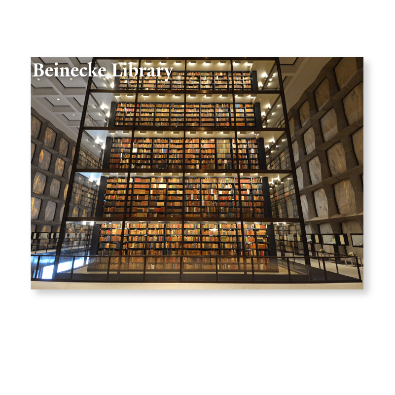 Beinecke Library Magnet — Yale Bulldog Blue by Campus Customs