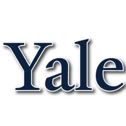 Yale Wordmark Decal — Yale Bulldog Blue by Campus Customs